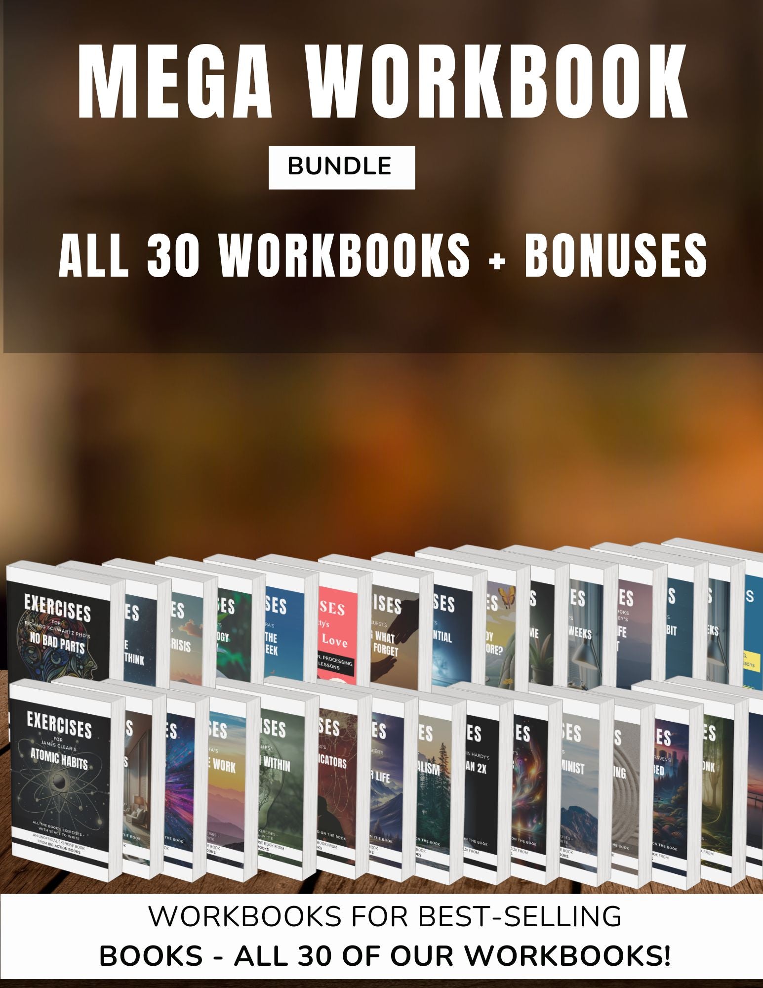 Big Action Books - Workbooks for do-ers